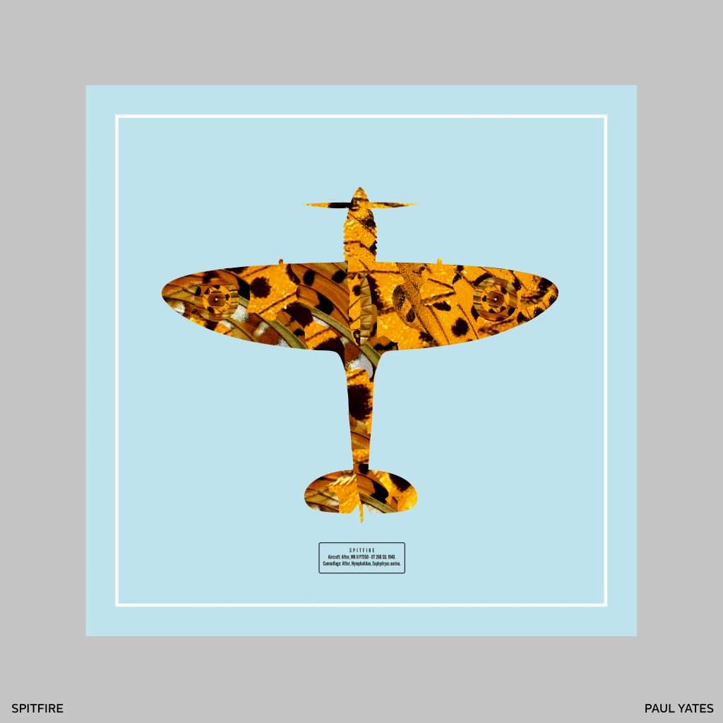 SPITFIRE - Paul Yates Art