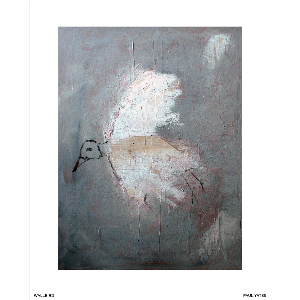 WALLBIRD - Paul Yates Art